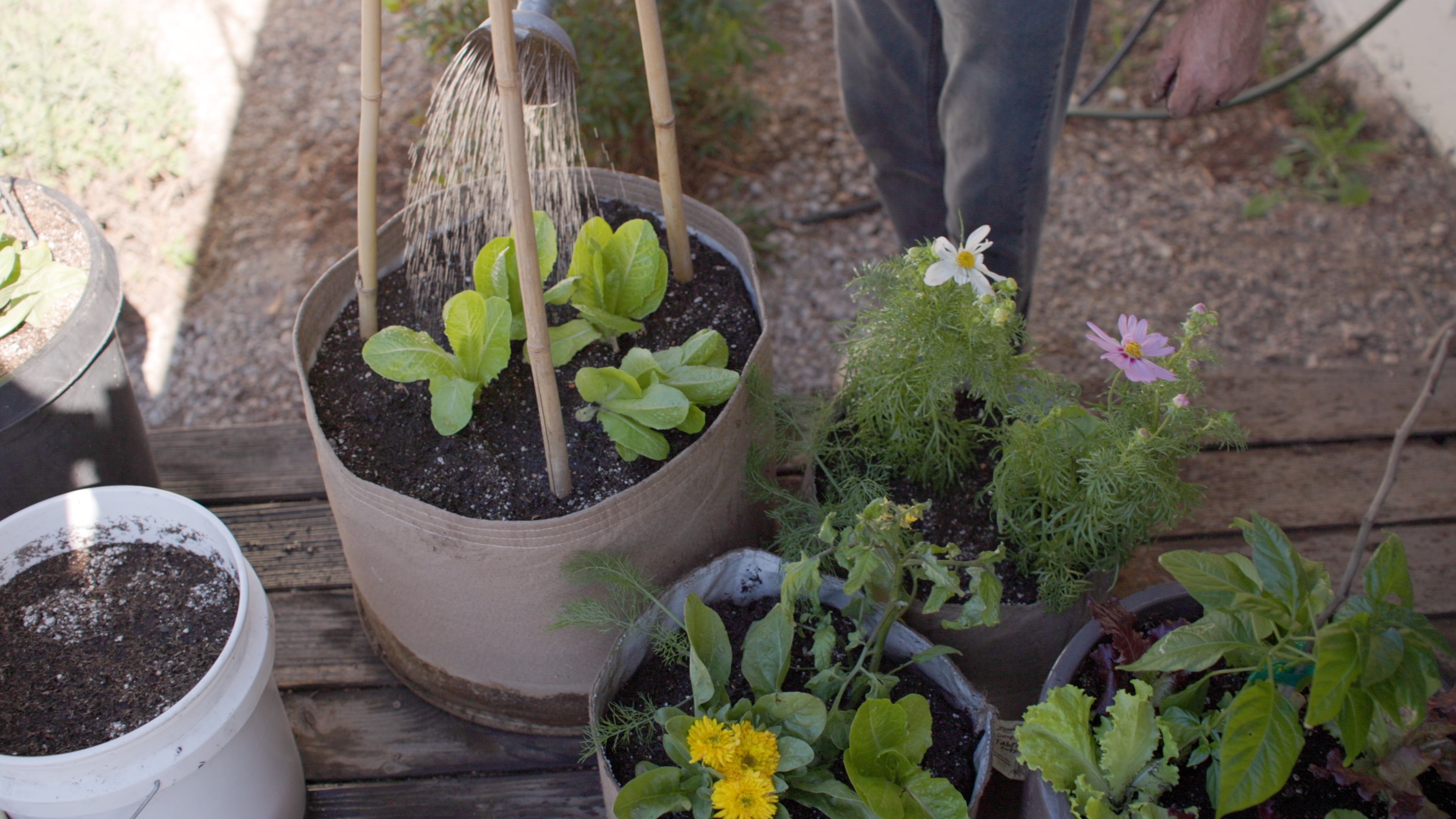 Beds & Pots – Next Level Gardening